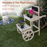 Alpine Corporation Portable Wood 2-Tier Plant Display Stand, Tan ...