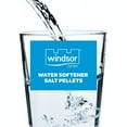 Windsor Clean & Protect Water Softener Salt Pellets, 18.1 kg - Walmart.ca