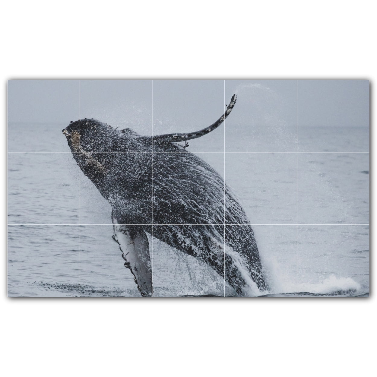 Picture-Tiles.com: Whale Ceramic Tile Wall Mural WAL501190-53XL. 60"W x ...