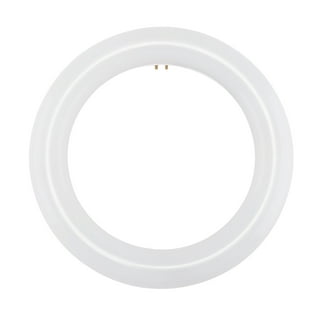 Accupro AP-275-IP-120-1 Electronic Fluorescent Ballast, 2-Lamp, T12 ...