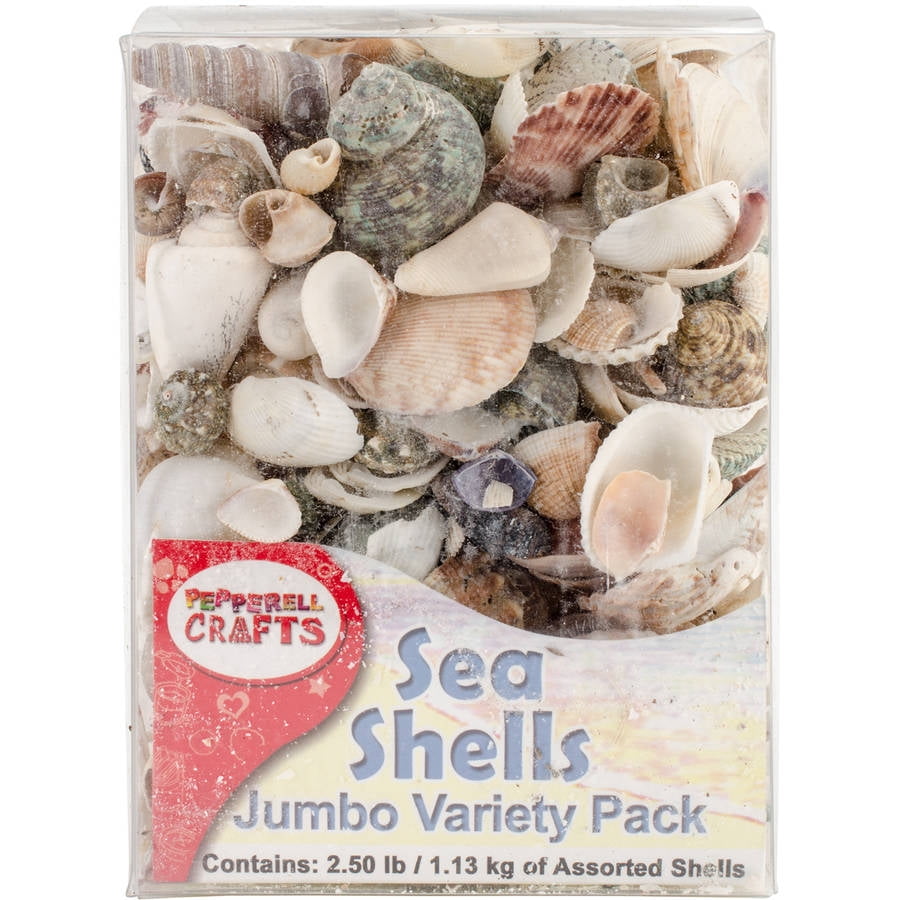 Mixed Sea Shells, 2.5lb Container, Assorted - Walmart.com