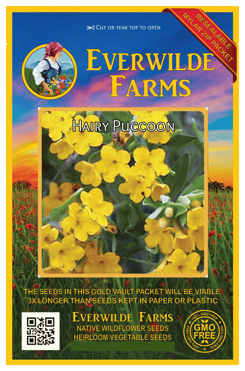 Everwilde Farms - 20 Hairy Puccoon Native Wildflower Seeds - Gold Vault ... Everwilde Farms - 20 Hairy Puccoon Native Wildflower Seeds - Gold Vault ...
