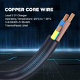 15A EV Charger Level 1 J1772 EVSE 20ft Home 110V-120V IP65 Portable ...