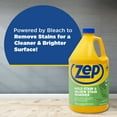 Zep Pro Strength Mold & Mildew Remover, 1 Gal Bathroom Cleaner (Case of ...