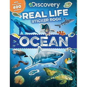 Ultimate Sticker Book: Ultimate Sticker Book: Ocean : More Than 250 ...