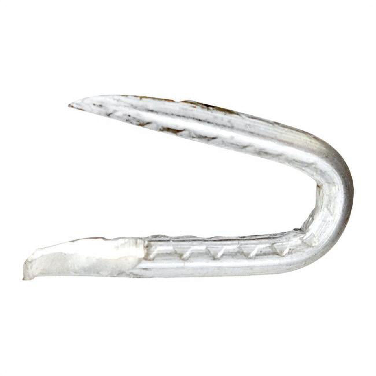 Stallion 1-1/4 in. L Galvanized Steel Fence Staples 9 Ga. 1 lb ...