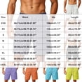 Beach Shorts for Men Solid Color Quick Dry Athletic Shorts Zip Pockets ...