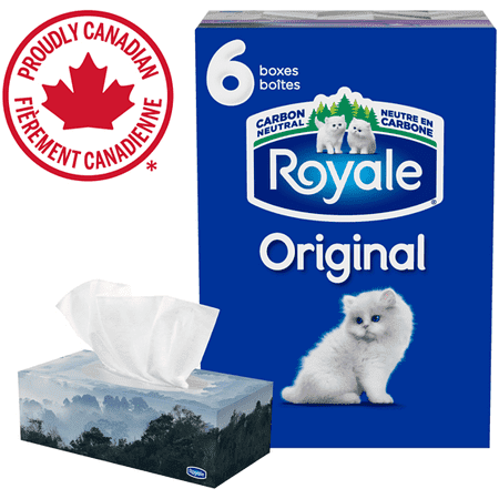 Original Facial Tissue, 6 Flat Boxes, 100 Tissues per box - Walmart.ca