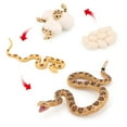 Realistic Animal Life Growth Cycle Biological Model Toys Snake Growth ...