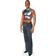 H13551 Yellowstone National Park North Gate Cardboard Cutout Standee ...