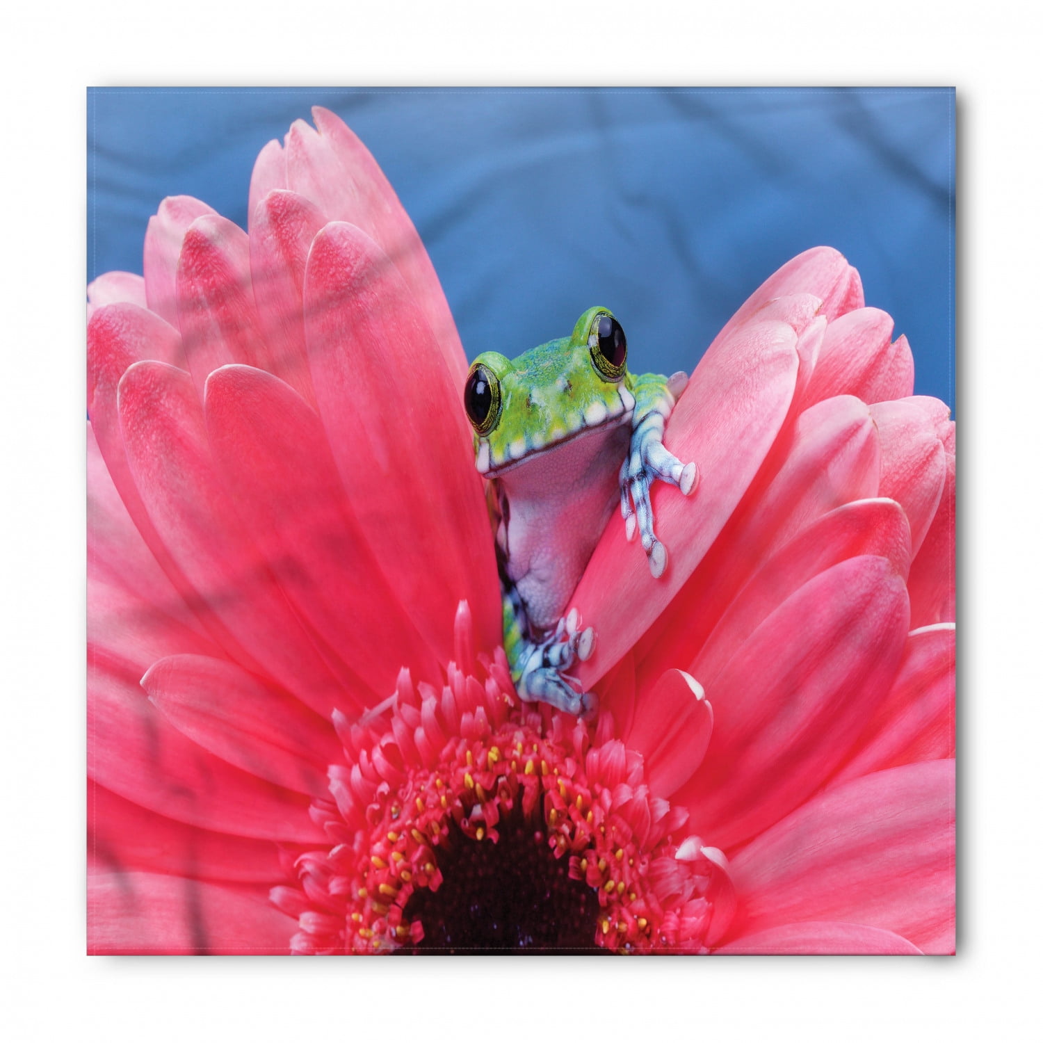 Animal Bandana, Frog on Gabera Flower, Unisex Head and Neck Tie, by ...
