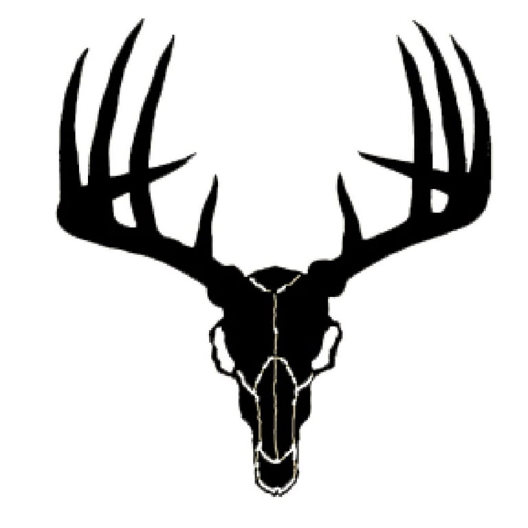 Buck Skull Decal