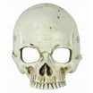 WRESTLING MASK - SKULL - Walmart.com