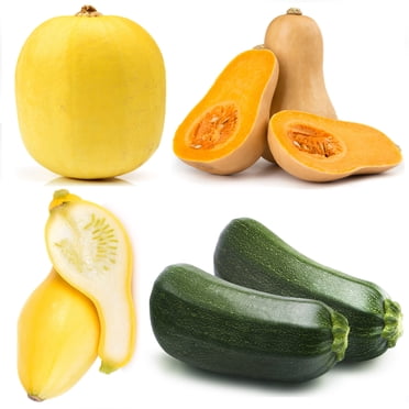 50 Seeds DELICATA SQUASH Striped Sweet Potato Cucurbita Pepo Vegetable ...