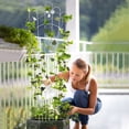 Urban Deco 4-Pack 60'' White Garden Trellis, Black Metal Climber for ...