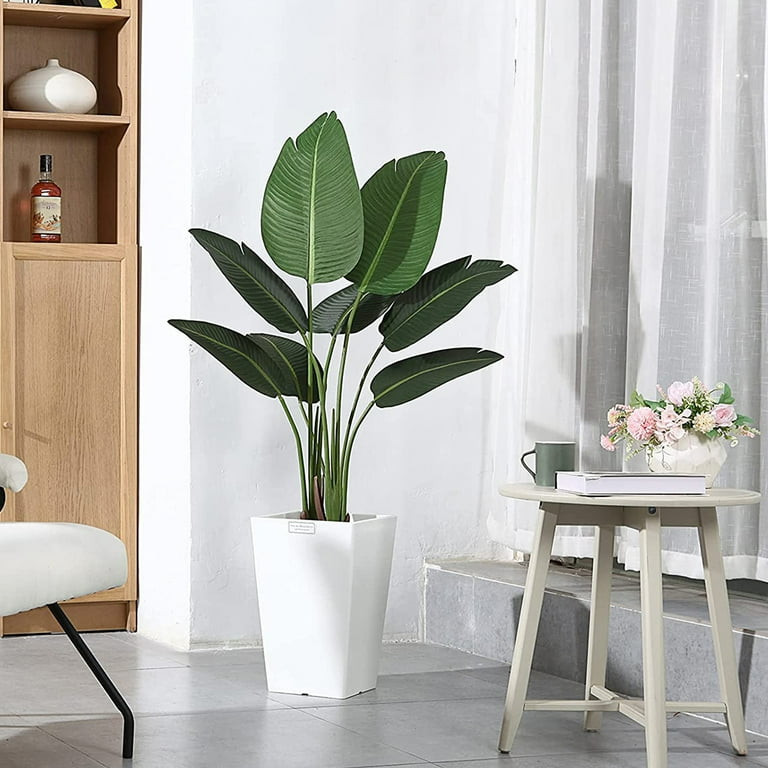 Banana Tree Decoration