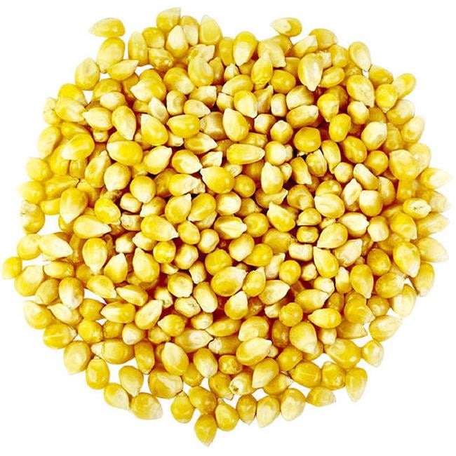 50 lbs Shelled Corn - Walmart.com