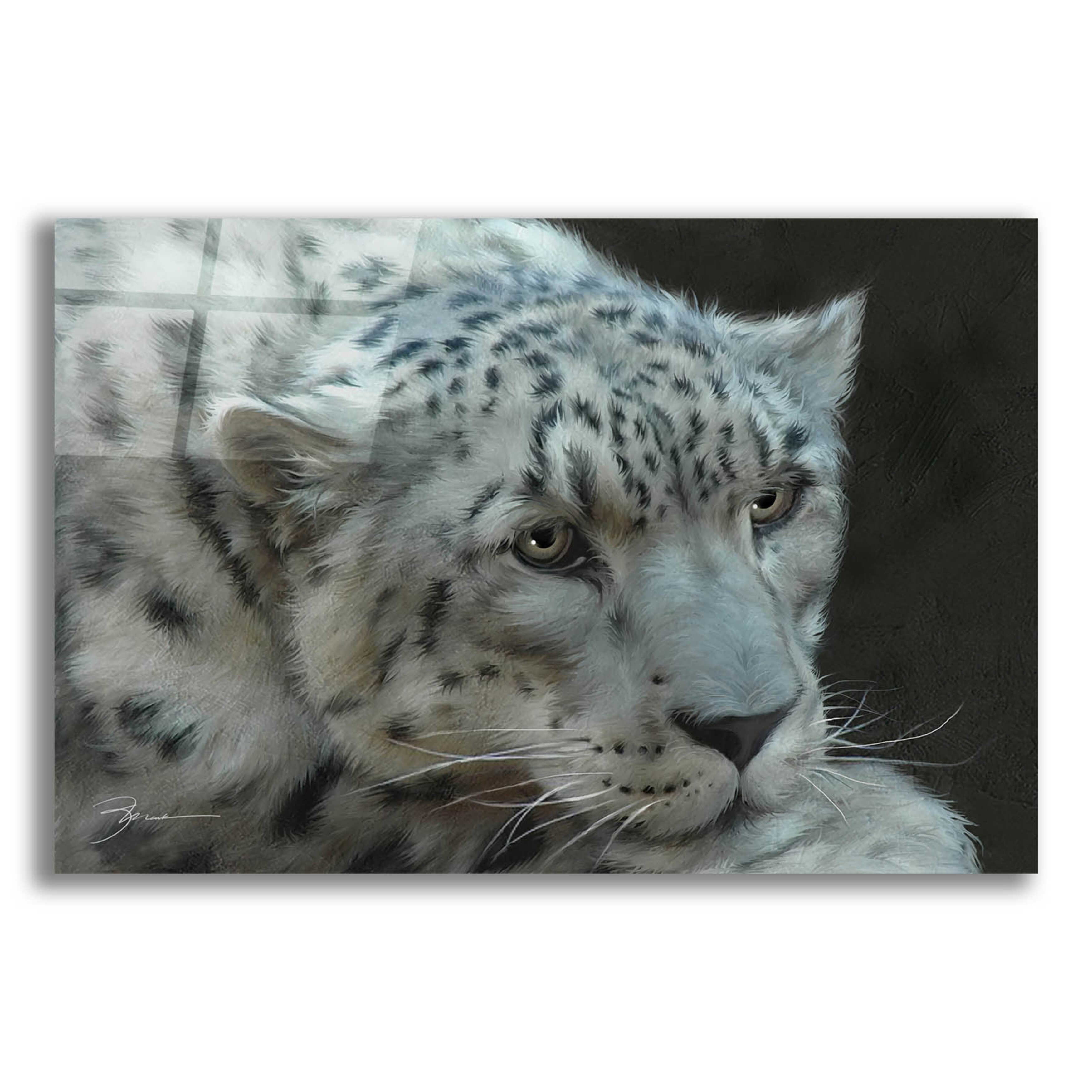 Epic Art 'Snow Leopard Closeup' by Enright, Acrylic Glass Wall Art, 24 ...