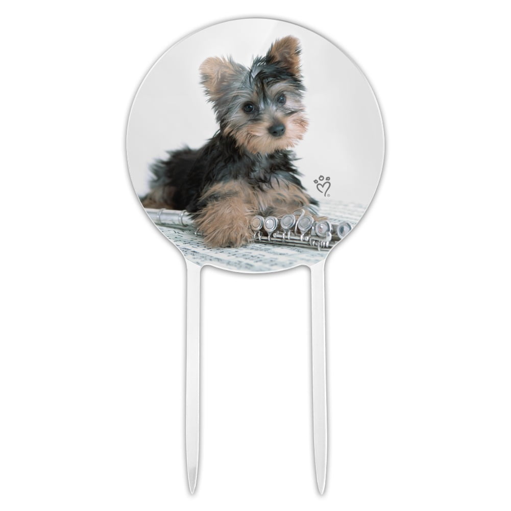 Acrylic Yorkie Yorkshire Terrier Puppy Dog Musical Instrument Cake ...
