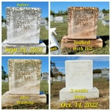 D/2 Biological Solution Cleaner, Easy Cleaning & Reusable Spray Bottle ...