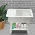 Miumaeov Freestanding Plastic Laundry Sink Indoor and Outdoor Utility ...