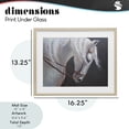 Stupell Industries Majestic White Mare Birch Framed Print Under Glass ...
