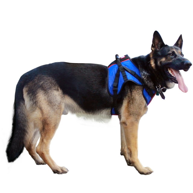 Walkin' Pets Lift Combo Front for Dogs - Harness for mobility, with ...