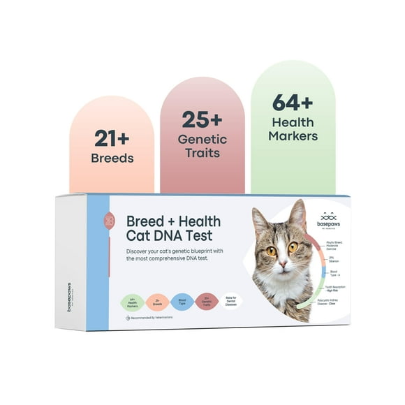 DNA Ancestry Tests | Walmart Canada