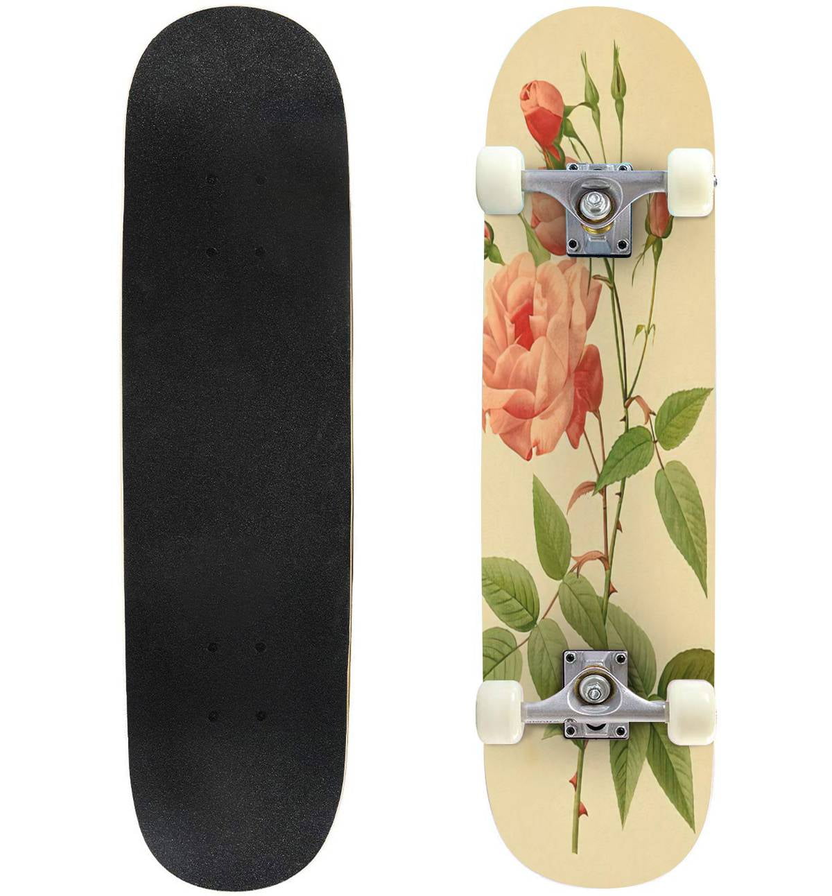 antique illustration of a tea rose rose stock illustrations Outdoor ...