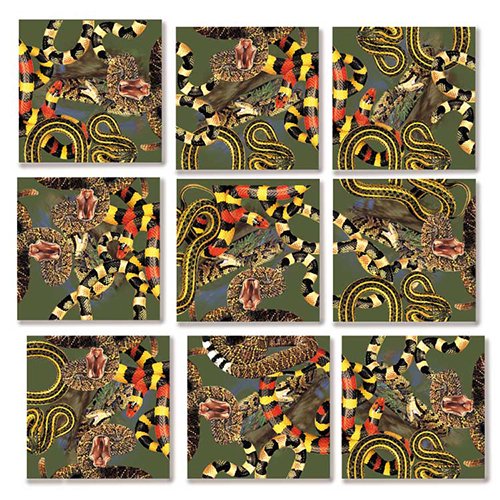 B Dazzle Snakes Scramble Squares 9 Piece Puzzle - Walmart.com