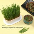 Yesbay Hydroponic Sprouting Tray Double Layer Densely Small Holes High ...