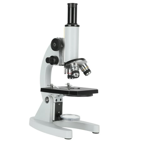 Scientific Discovery Specimens Microscope Magnification 640X ...