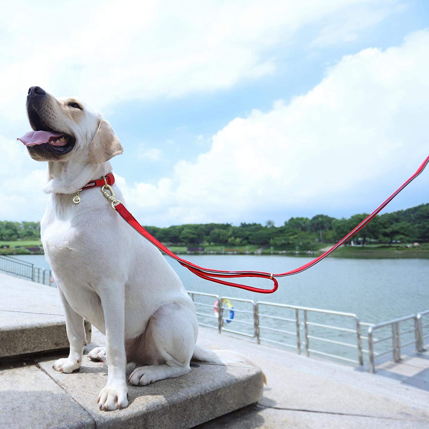 DOGNESS Classic Double Handle Dog Leash, Heavy Duty Soft Padded ...