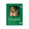 Strathmore Black Artagain Pad, 400 Series, 24 Sheets, 9" x 12 ...