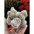 Large Desert Rose Cluster, Natural Desert Rose Selenite Stones, Desert ...