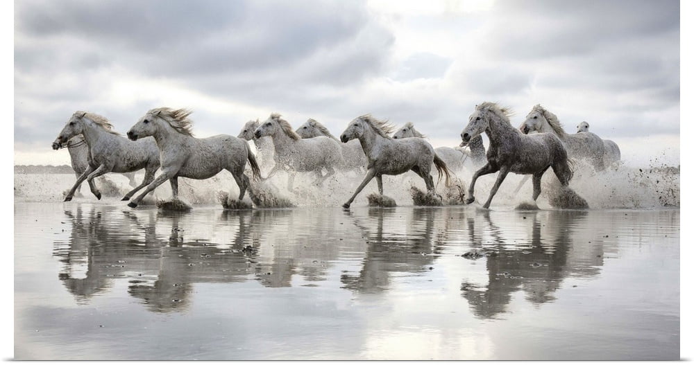 Great BIG Canvas | Rolled Scott Stulberg Poster Print entitled The ...