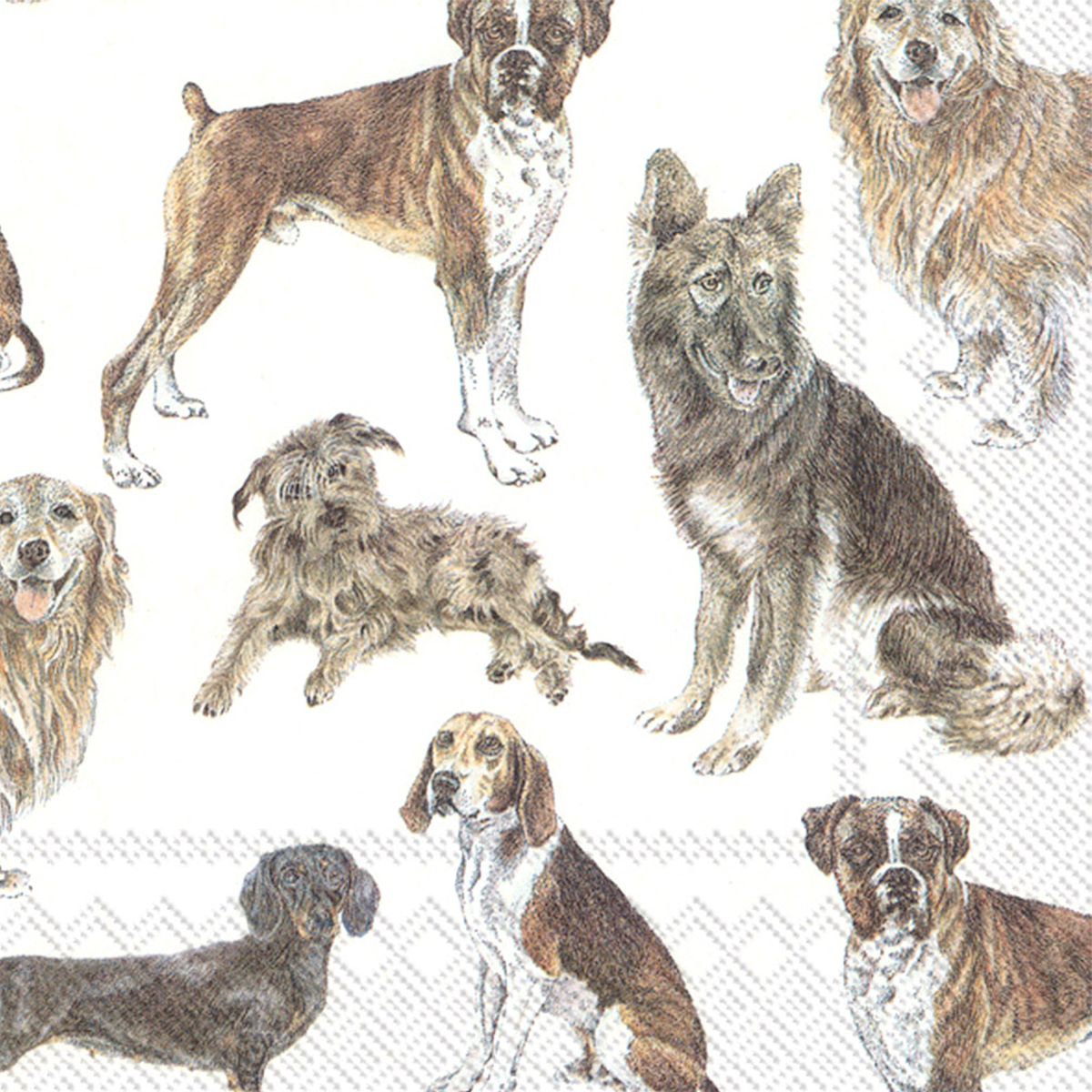 Set of 6 Luncheon My Favorite Dog Napkins 20 Pack - Walmart.com