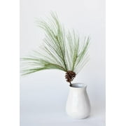 Pine Needle Clean Up