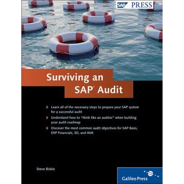 Sap Audits