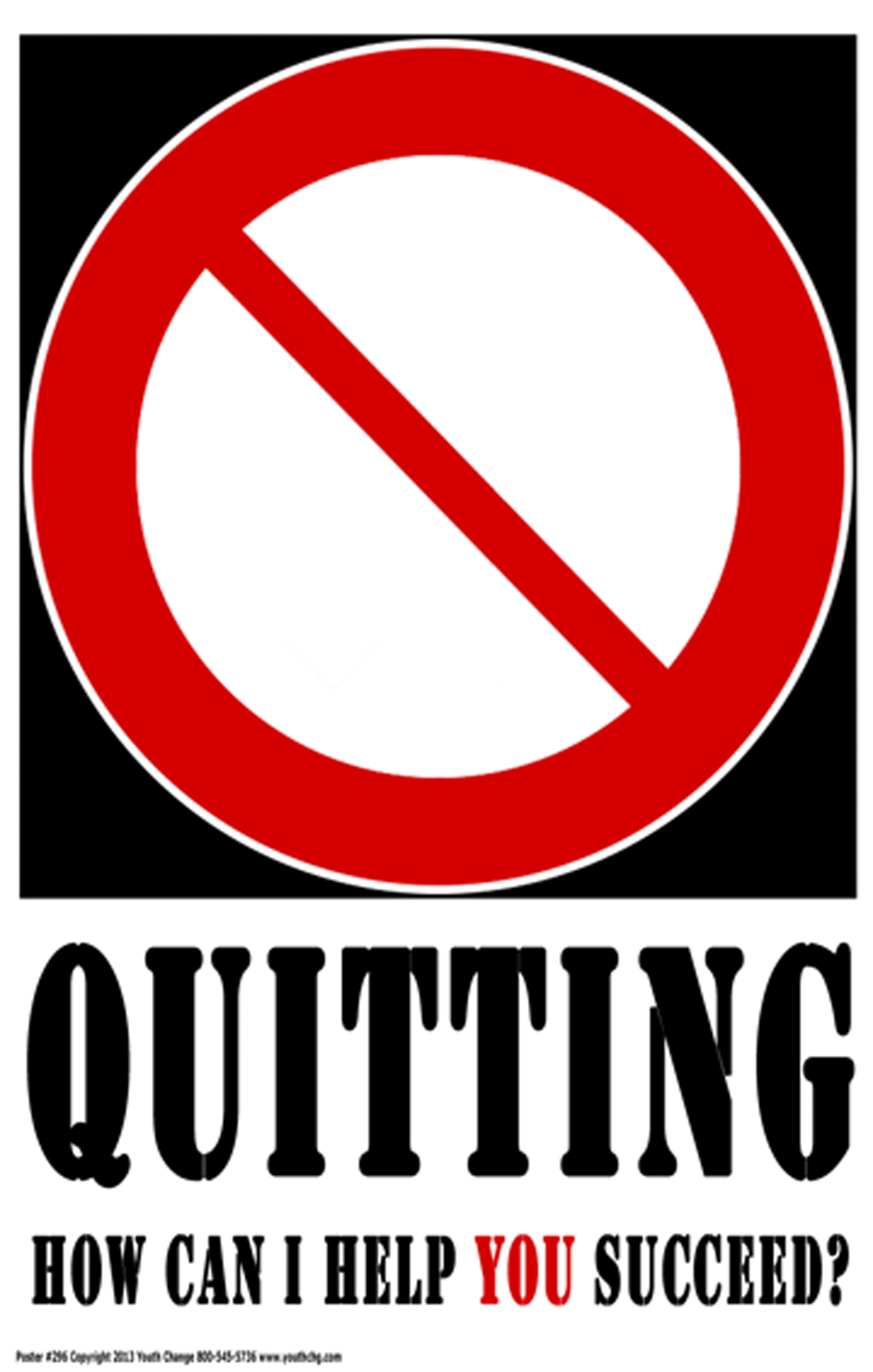 Youth Change Poster #296 Student Motivational School, Classroom Success ...