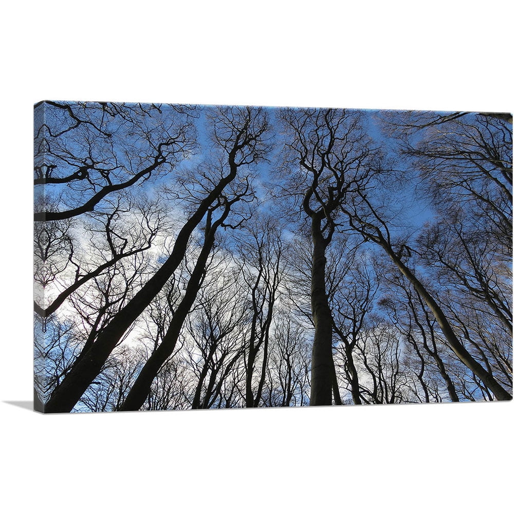 ARTCANVAS Forest Home Decor Rectangle Canvas Art Print - Size: 40" x 26 ...