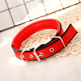 DESIGNICE Dog Collar Eco Friendly Dog Collar for Large Dogs Non ...