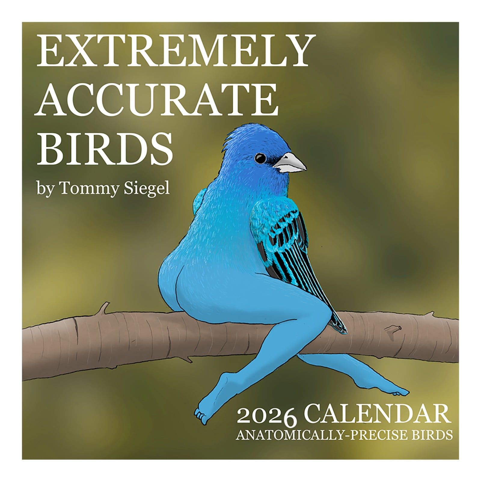 Click here for Havenbrill 2026 Bird Pattern Desk Calendar Calenda... prices