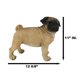 Ebros Large Realistic Fawn Pug Dog Statue 12"L Fine Pedigree Dog Breed ...
