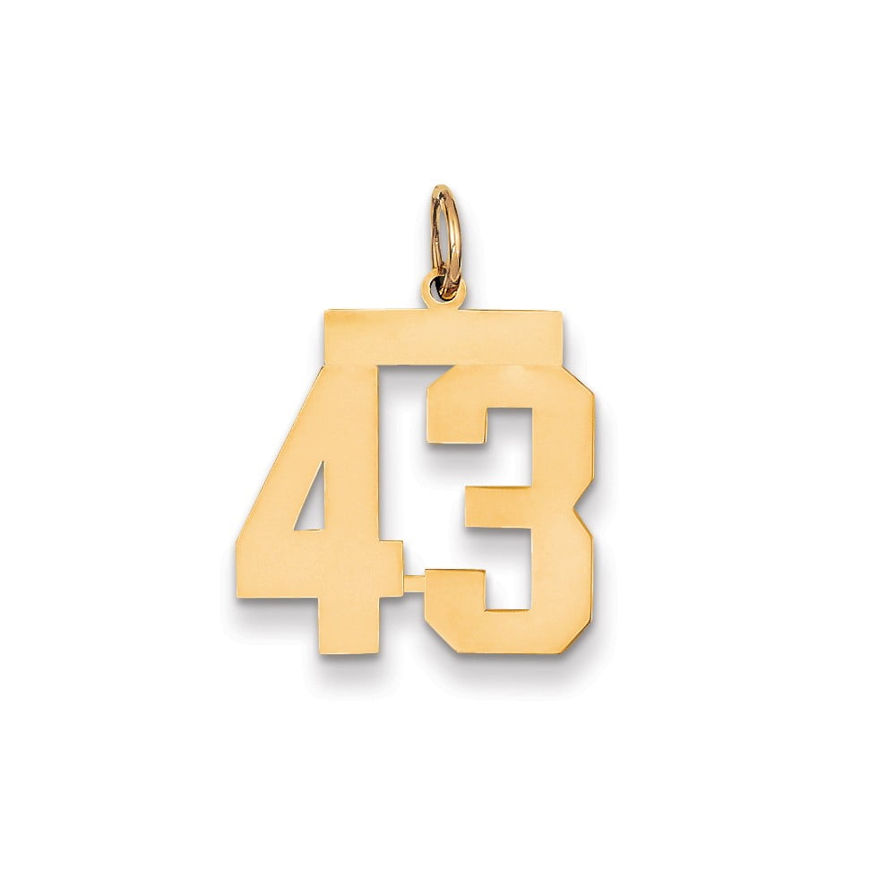 14k Yellow Gold Medium Polished Number 43 Charm - Walmart.com