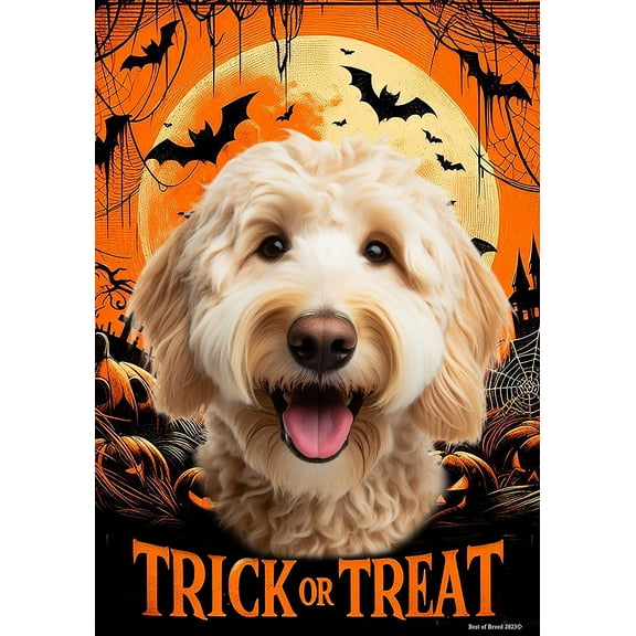 Afghan - Best of Breed Valentines Day Outdoor Garden Flag 12" x 17 ...