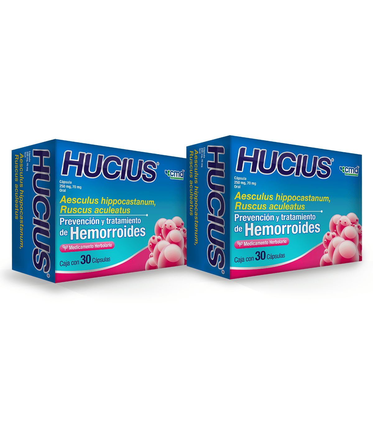 HUCIUS Aesculus hippocastanum (Castaño de Indias) y Ruscus aculeatus ...