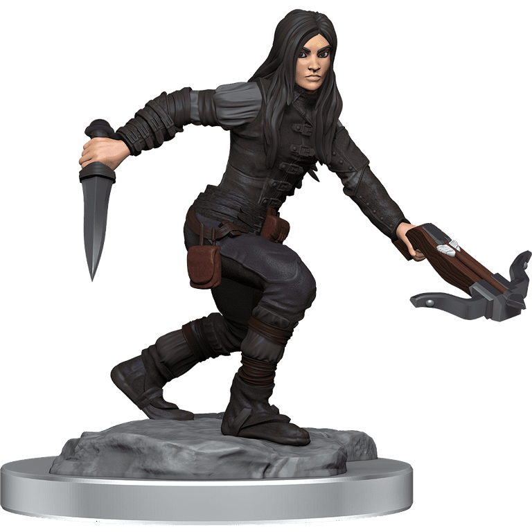 Half Elf Pathfinder Female