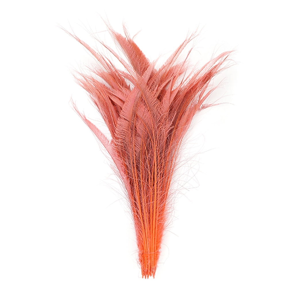 ZUCKER™ Peacock Swords Bleach Dyed Tail Feathers - 15 -25" - 100pcs ...