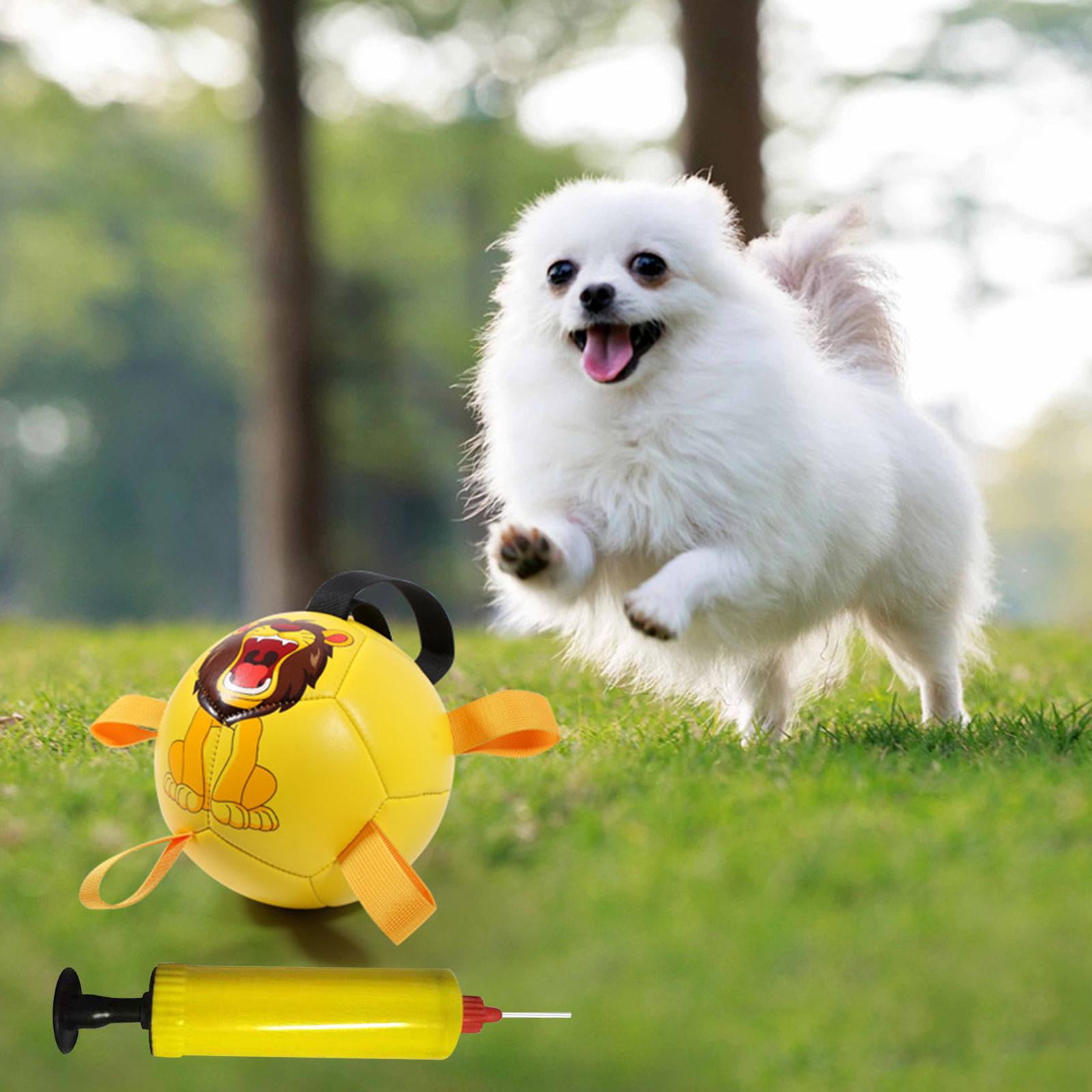 Juguetes para perros Balón de fútbol con correas Juguetes de fútbol ...